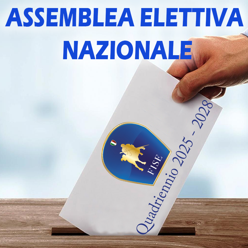 Federazione Italiana Sport Equestri - Home