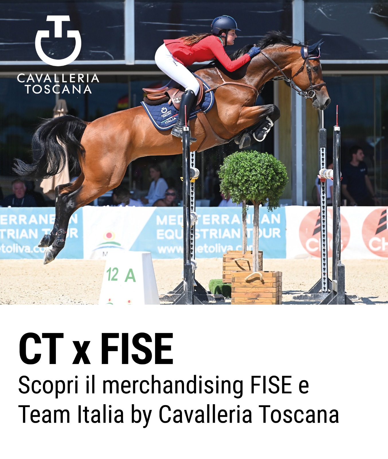 Federazione Italiana Sport Equestri - Home