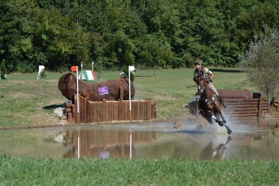 Federazione Italiana Sport Equestri - Home
