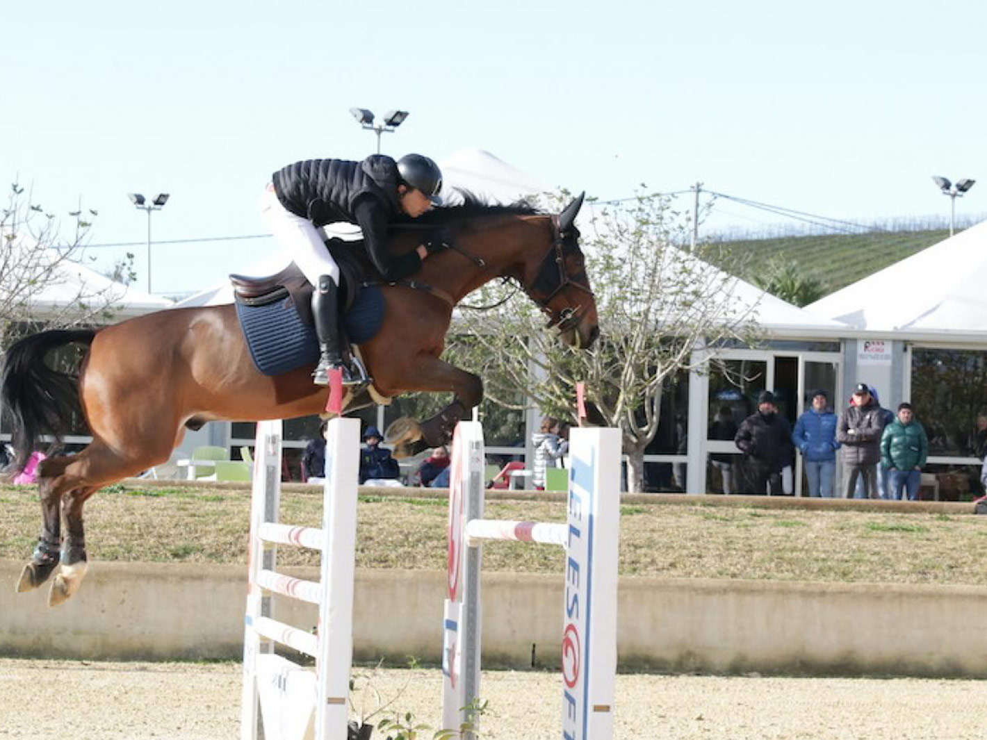 Federazione Italiana Sport Equestri Comitato Regionale Sicilia - Home